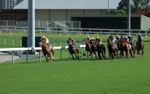 Horse Racing Classifications: How Do Race Grades & Classes Work ...